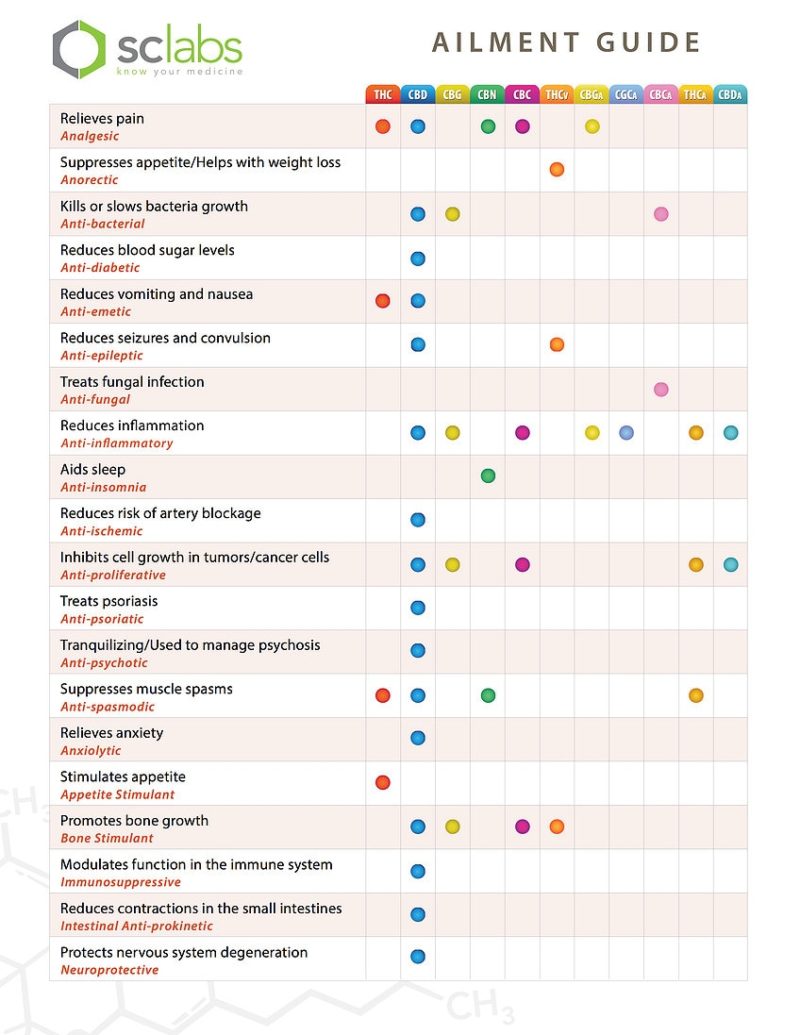 Finding the Perfect Cannabis Dosage | Herb Approach