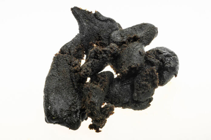 What is Charas, How it's Made, and How to Smoke it | Herb Approach