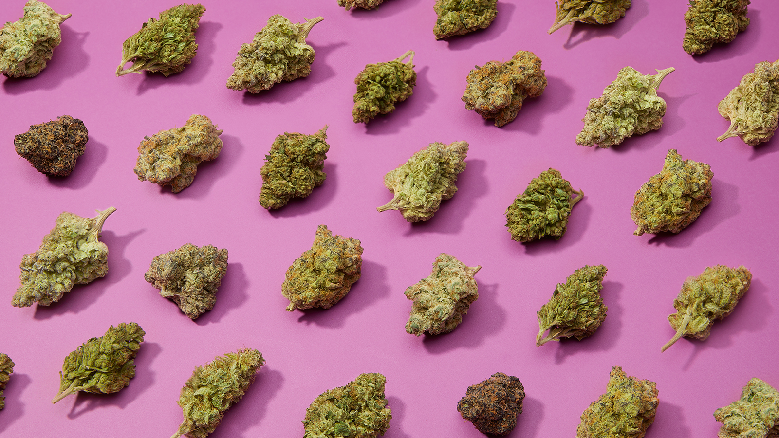 How are New Weed Strains Created? - Herb Approach